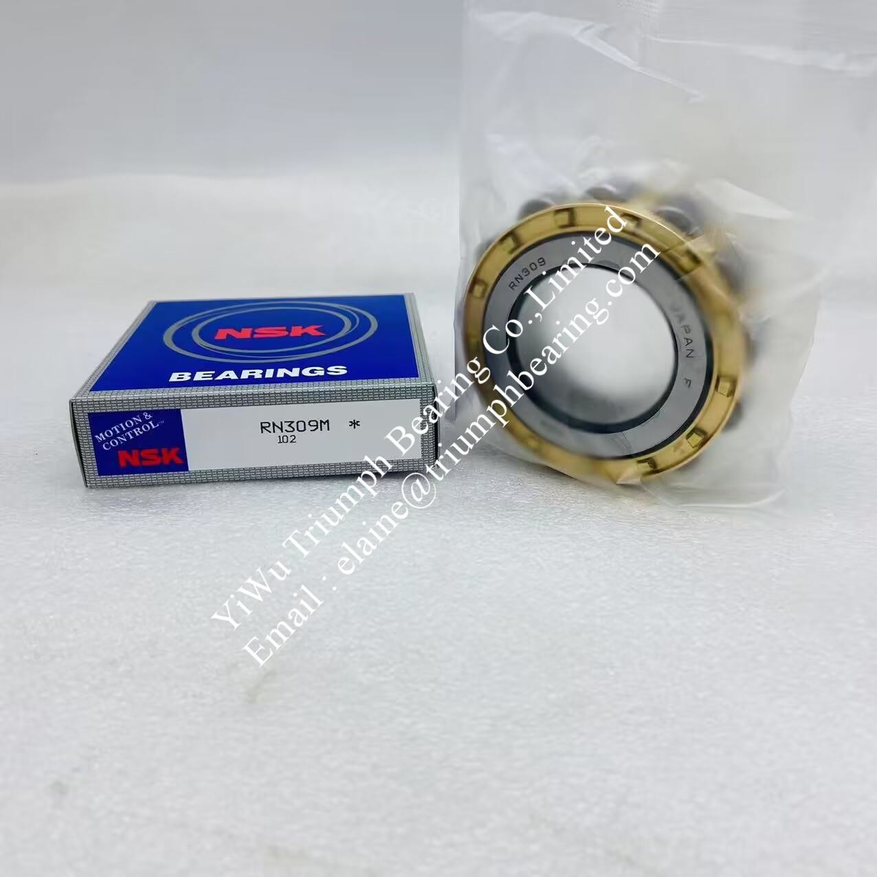 NSK Eccentric Bearing RN309M